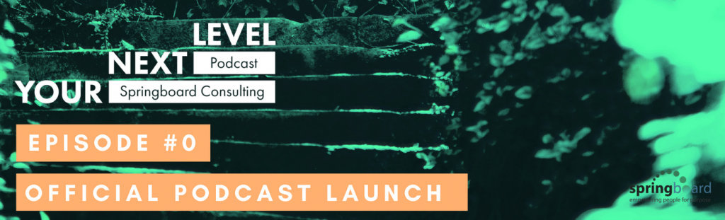 Your Next Level Podcast: Episode #0 – Official Launch – Springboard ...